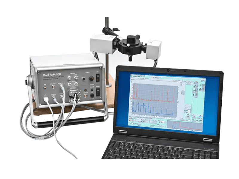 Software Dual-PAM-100 - Kasalab