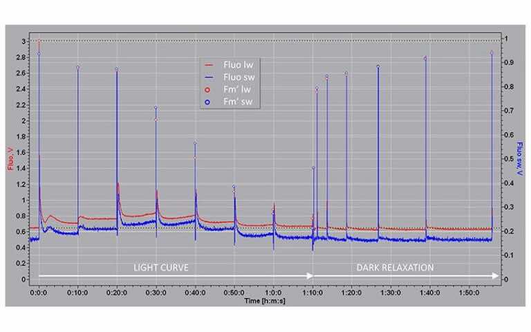 Sistema de medición de fluorescencia de clorofila DUAL-PAM-100 - Kasalab