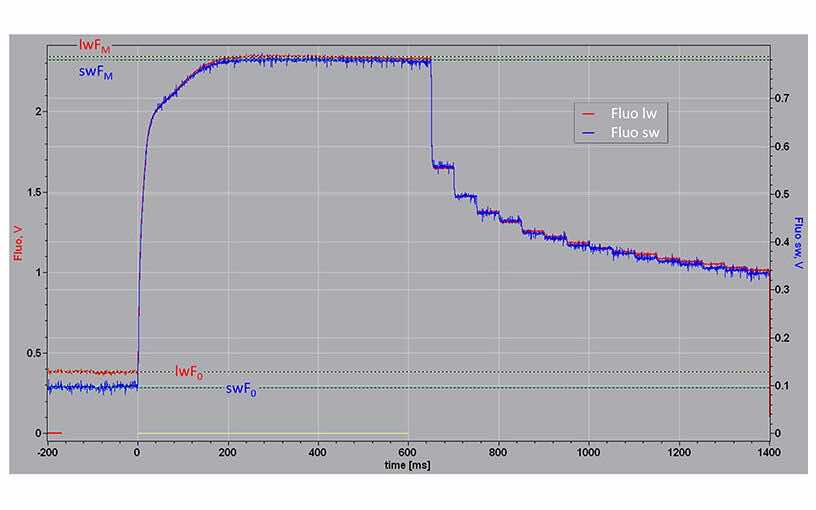 Sistema de medición de fluorescencia de clorofila DUAL-PAM-100 - Kasalab